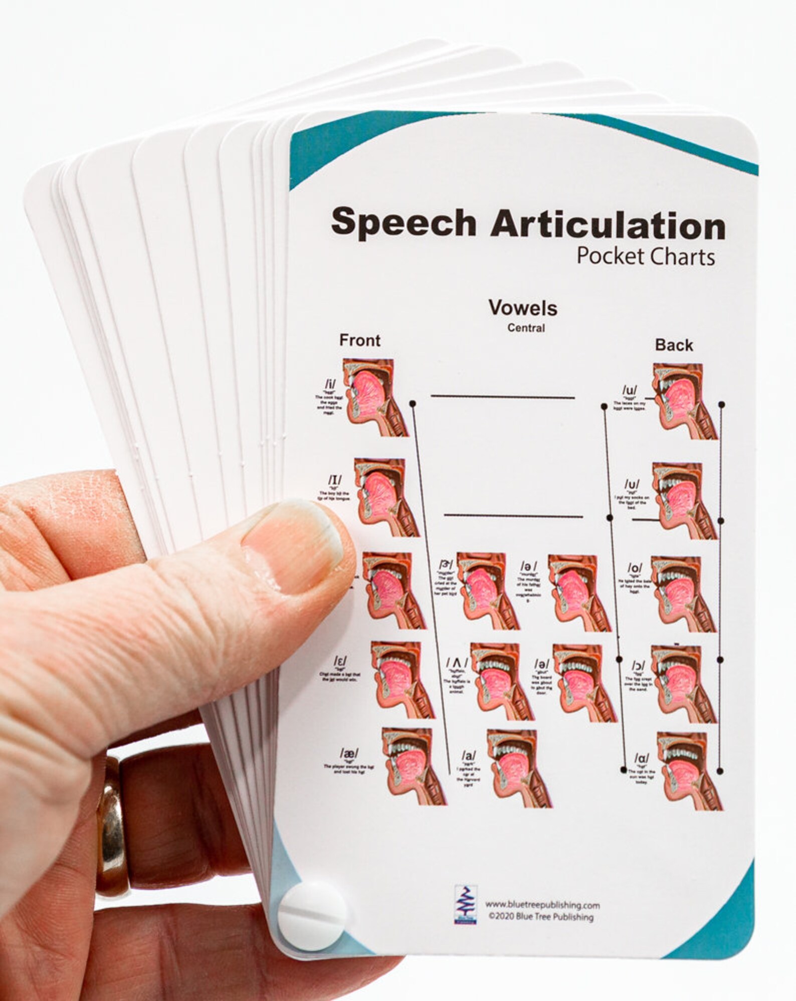 Speech Articulation Pocket Charts With 5 App Software Set - Etsy