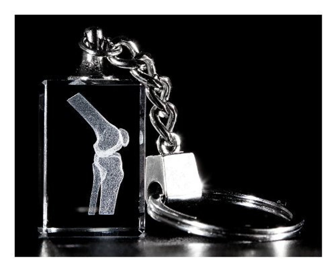 Knee Joint 3d Laser Key Chain Crystal, Anatomy, Bone, Physical Therapy ...