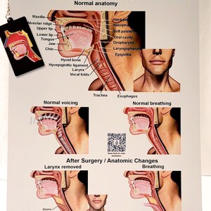 Speech Language Pathology SLP Charts Complete With QR Codes for ...