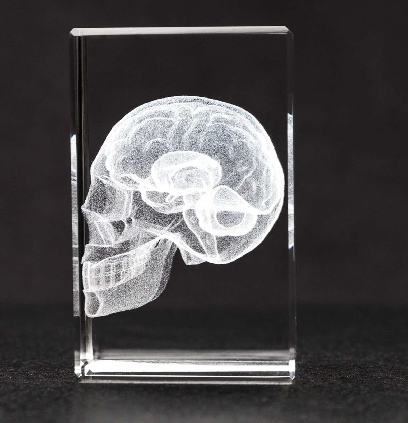 Skull and Brain Crystal Art - Etsy