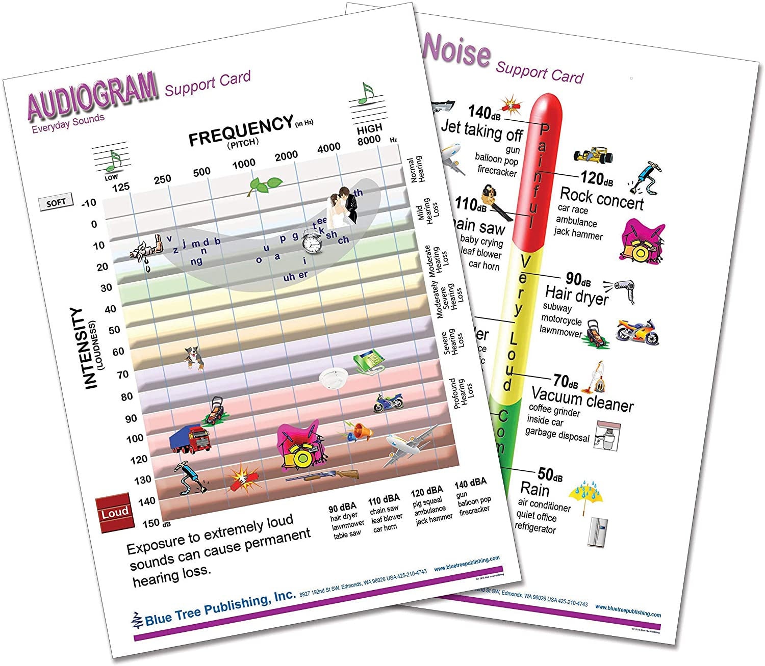 Audiogram Daily Noise Anatomical Chart - Etsy