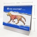 Dog and Cat Veterinary Anatomy Flip Charts, Anatomy & Veterinary ...