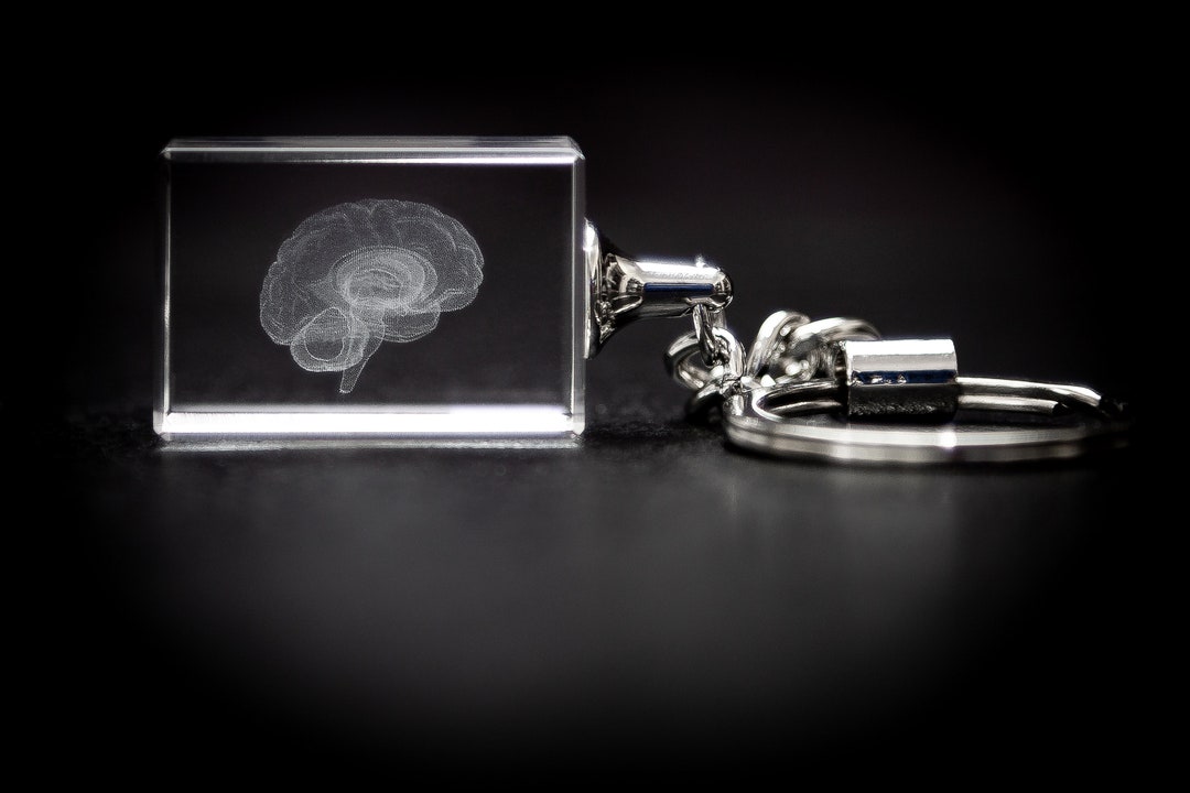 Brain Crystal Key Chain - Etsy