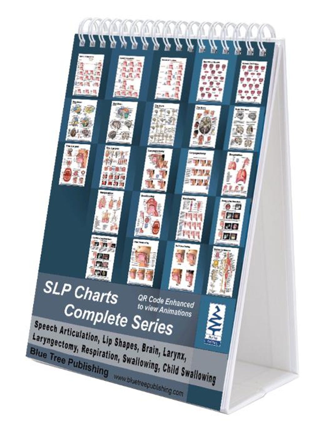 Speech Language Pathology SLP Charts Complete With QR Codes for ...