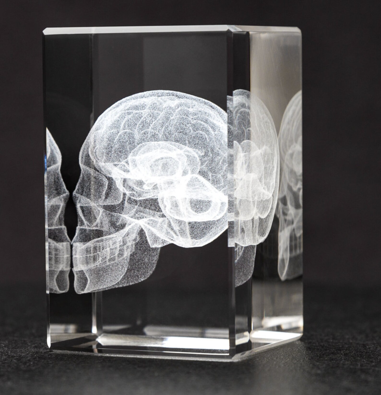 Skull and Brain Crystal Art - Etsy