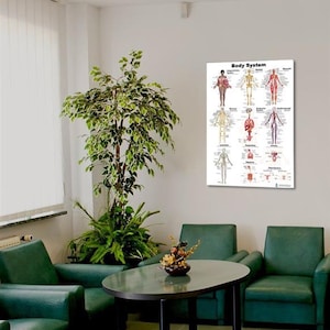 Human Body Systems Poster, Muscular, Nervous, Circulatory, Lymphatic ...