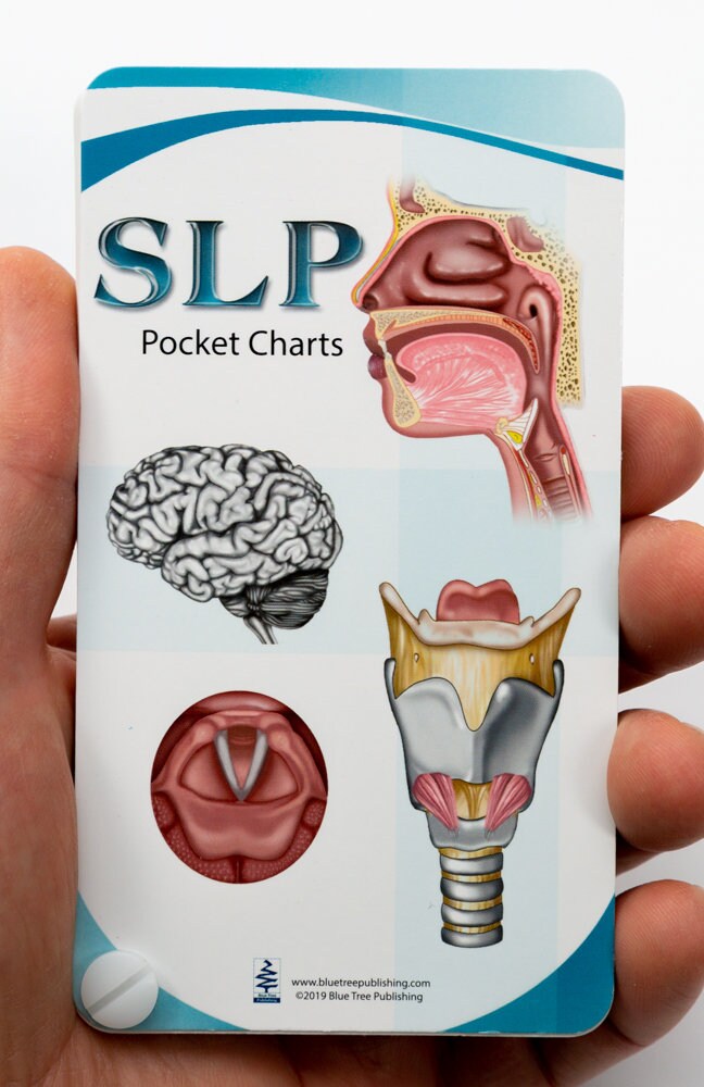 SLP Pocket Chart and Computer 12 App Software Set - Etsy