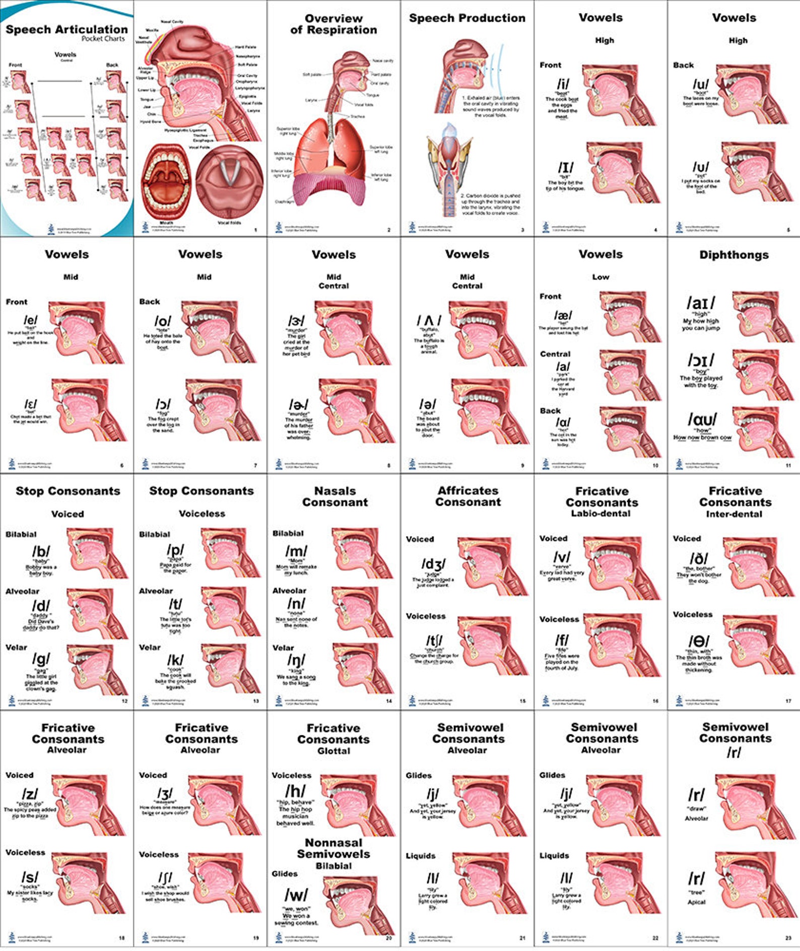 Speech Articulation Pocket Charts With 5 App Software Set - Etsy