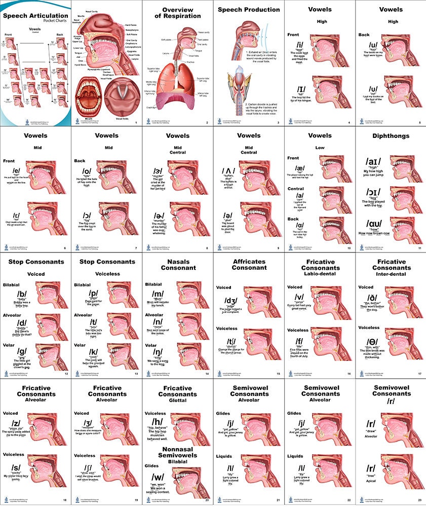 Speech Articulation Pocket Charts With 5 App Software Set - Etsy