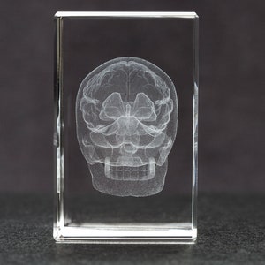 Skull and Brain Crystal Art - Etsy