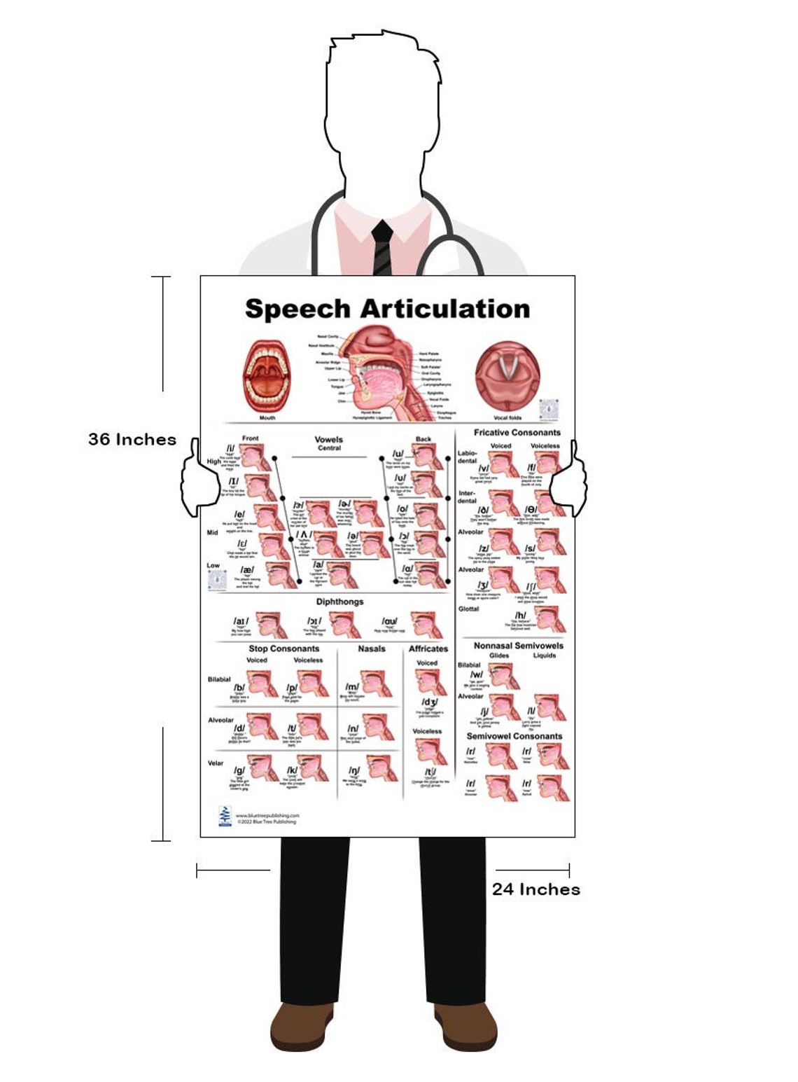 Speech Articulation Large Poster With QR Codes - Etsy