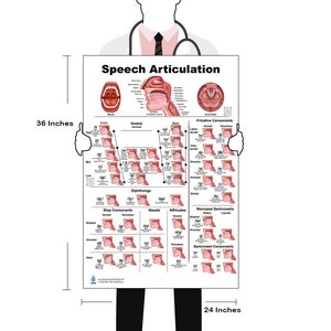 Speech Articulation Large Poster With QR Codes - Etsy