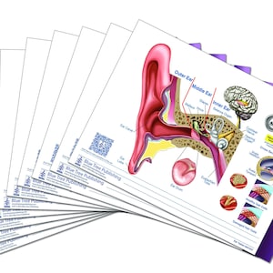 Ear Tablet With QR Code Link to Animation - Etsy