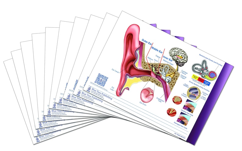 Ear Tablet With QR Code Link to Animation - Etsy