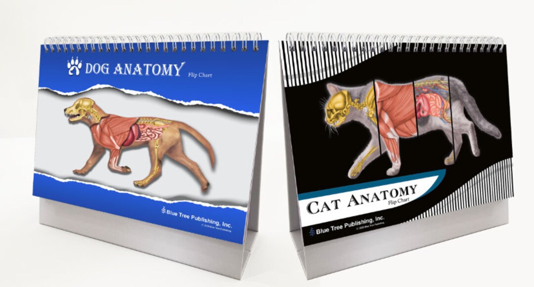 Dog and Cat Veterinary Anatomy Flip Charts, Anatomy & Veterinary ...