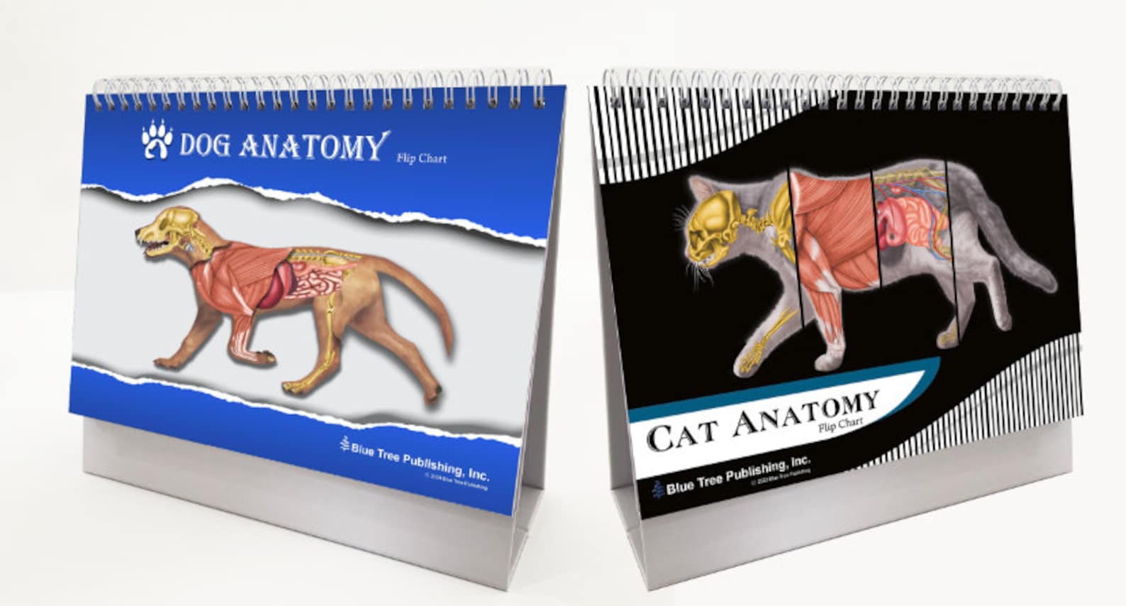 Dog and Cat Veterinary Anatomy Flip Charts, Anatomy & Veterinary ...