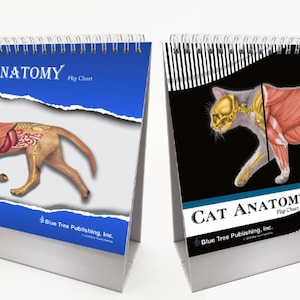 Dog and Cat Veterinary Anatomy Flip Charts, Anatomy & Veterinary ...