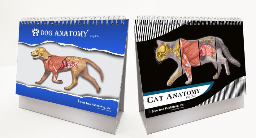 Dog and Cat Veterinary Anatomy Flip Charts, Anatomy & Veterinary ...