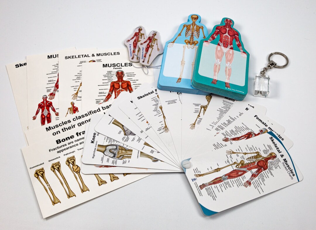 Muscles Gift Box Set 02 - Etsy