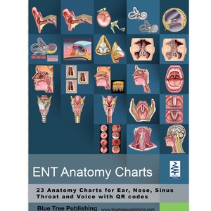 ENT Anatomy Flip Charts, Otolaryngologist Anatomy, Ear, Nose, Larynx ...