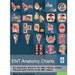 ENT Anatomy Flip Charts, Otolaryngologist Anatomy, Ear, Nose, Larynx ...