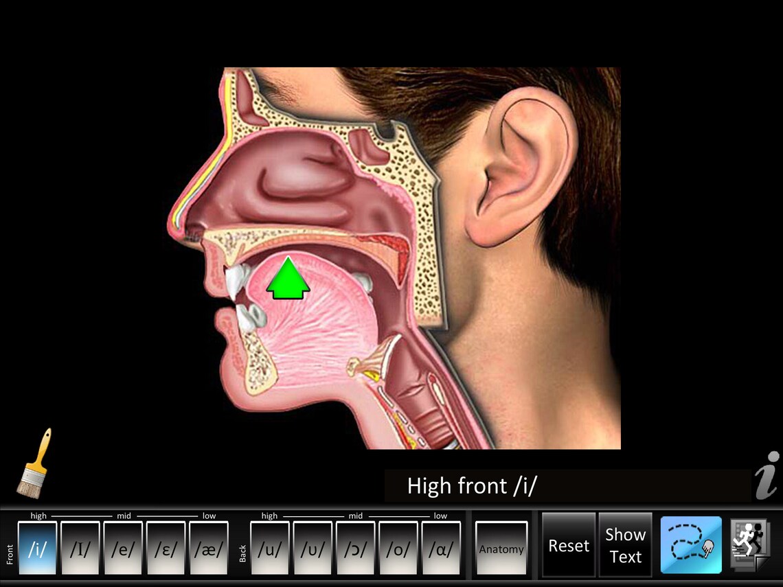 Speech Articulation Pocket Charts With 5 App Software Set - Etsy