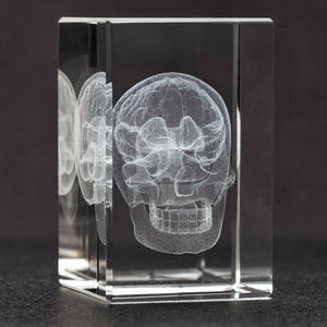 Skull and Brain Crystal Art - Etsy