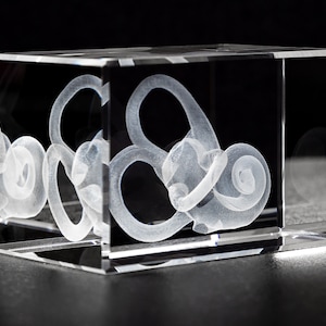 Cochlea Crystal Art for Audiologist AUD and Hearing Professionals - Etsy
