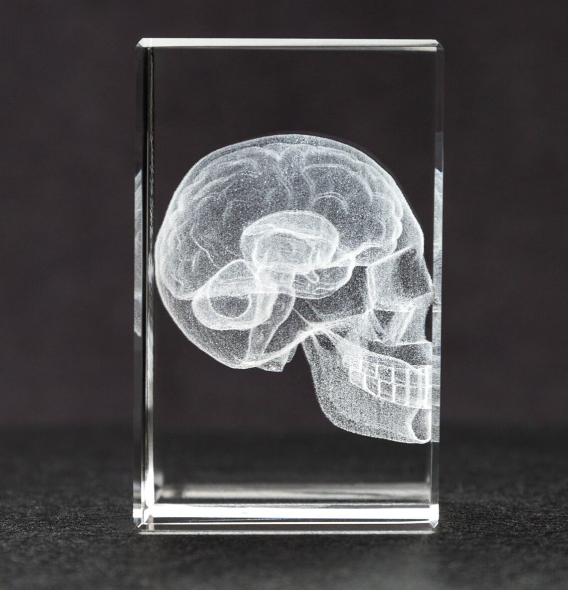 Skull and Brain Crystal Art | Etsy