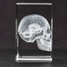 Skull and Brain Crystal Art - Etsy
