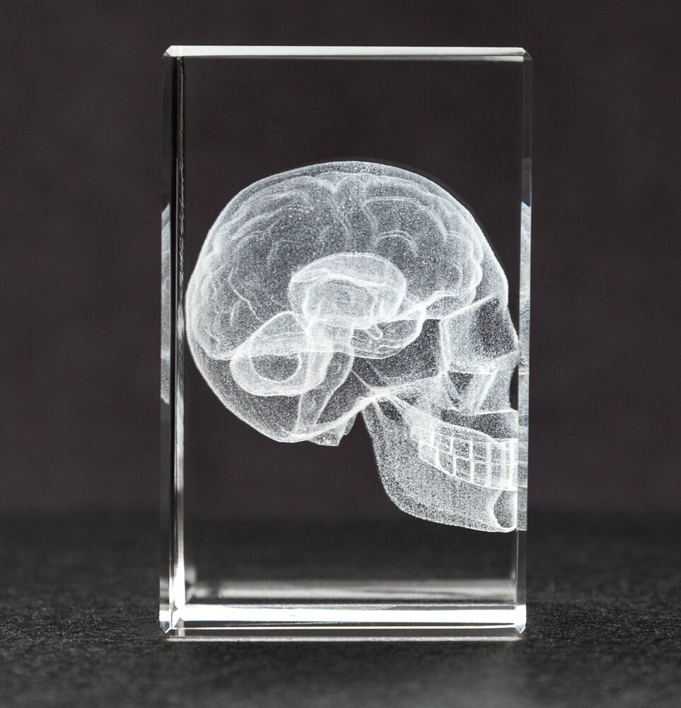 Skull and Brain Crystal Art - Etsy