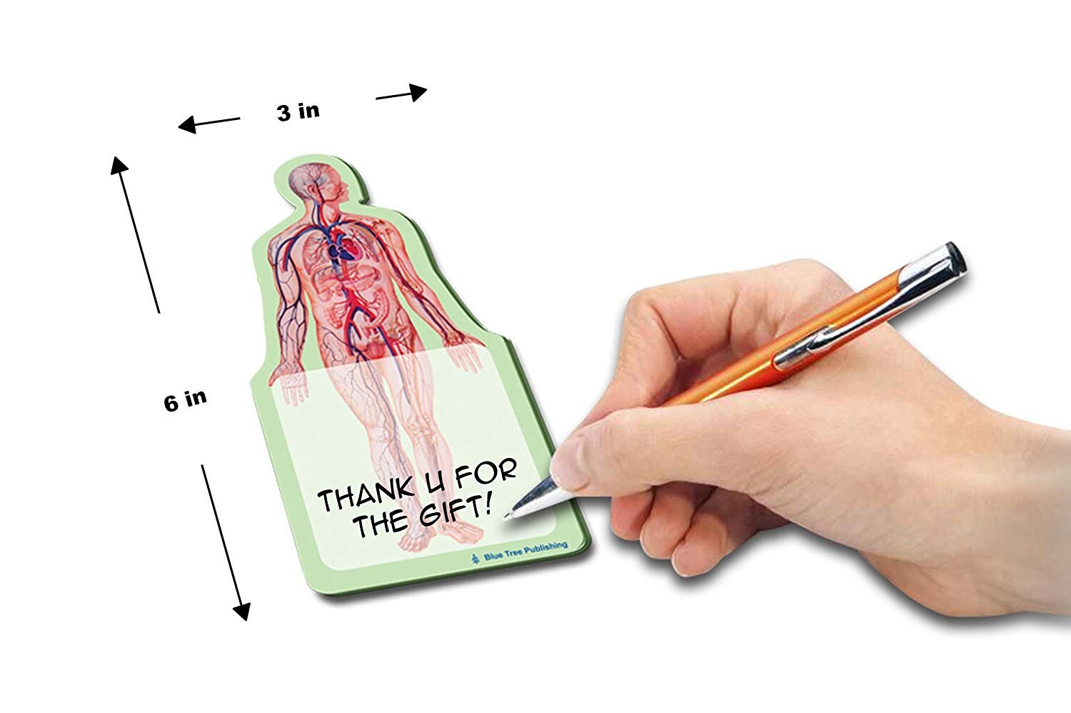 Fun Anatomy Stick Notes Collection - Etsy