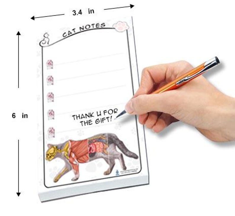 Dog and Cat Anatomy Education 10-piece Set, Cards, Pocket Charts, and ...