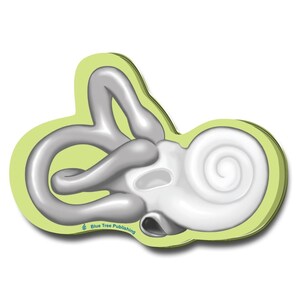 Hearing Stick Note Collection - Etsy