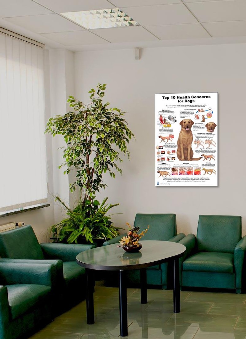 Blue Tree Publishing Dog 10 Health Concern Poster, Anatomy & Veterinary ...
