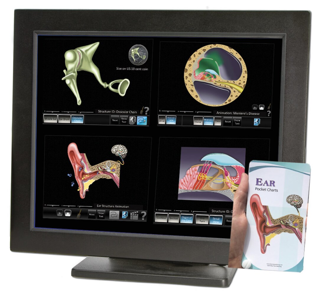 Ear Pocket Chart With Hearing Computer 6 App Software Set - Etsy