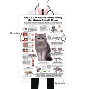 Cat 10 Health Concern Poster, Anatomy & Veterinary Physiology Feline ...