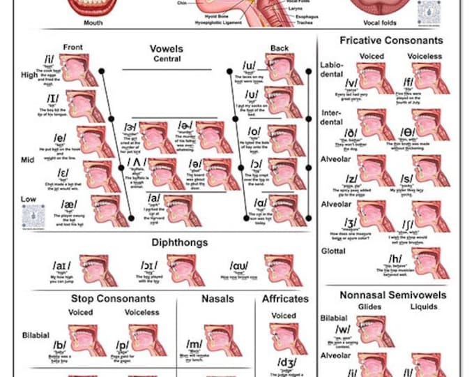 Speech Articulation Large Poster With QR Codes - Etsy
