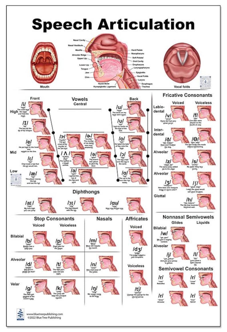 Speech Articulation Large Poster With QR Codes - Etsy