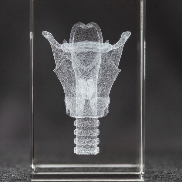 Larynx - Etsy
