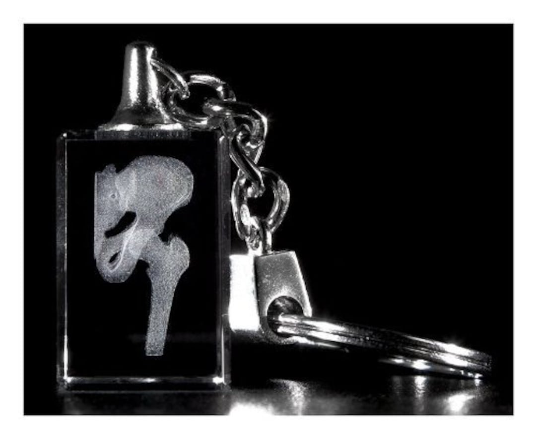 Hip Joint 3d Laser Key Chain Crystal, Anatomy, Bone, Physical Therapy ...