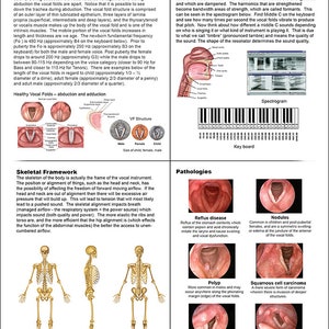 Sound Production Anatomical Chart for Voice and Singing Anatomy and ...