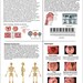Sound Production Anatomical Chart for Voice and Singing Anatomy and ...