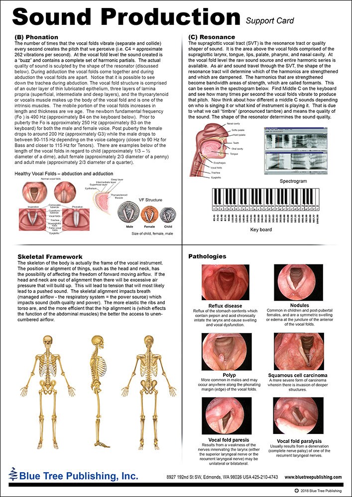 Sound Production Anatomical Chart for Voice and Singing Anatomy and ...