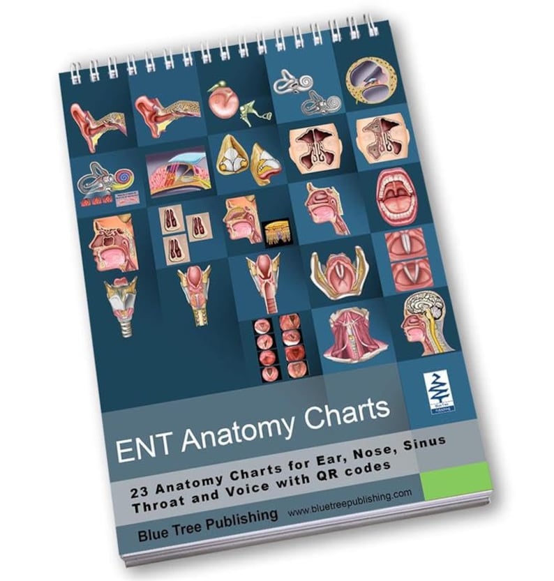 ENT Anatomy Flip Charts, Otolaryngologist Anatomy, Ear, Nose, Larynx ...