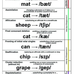 Phonological Pattern for Speech Language Pathologists, Patterns of Sound Errors That Typically ...