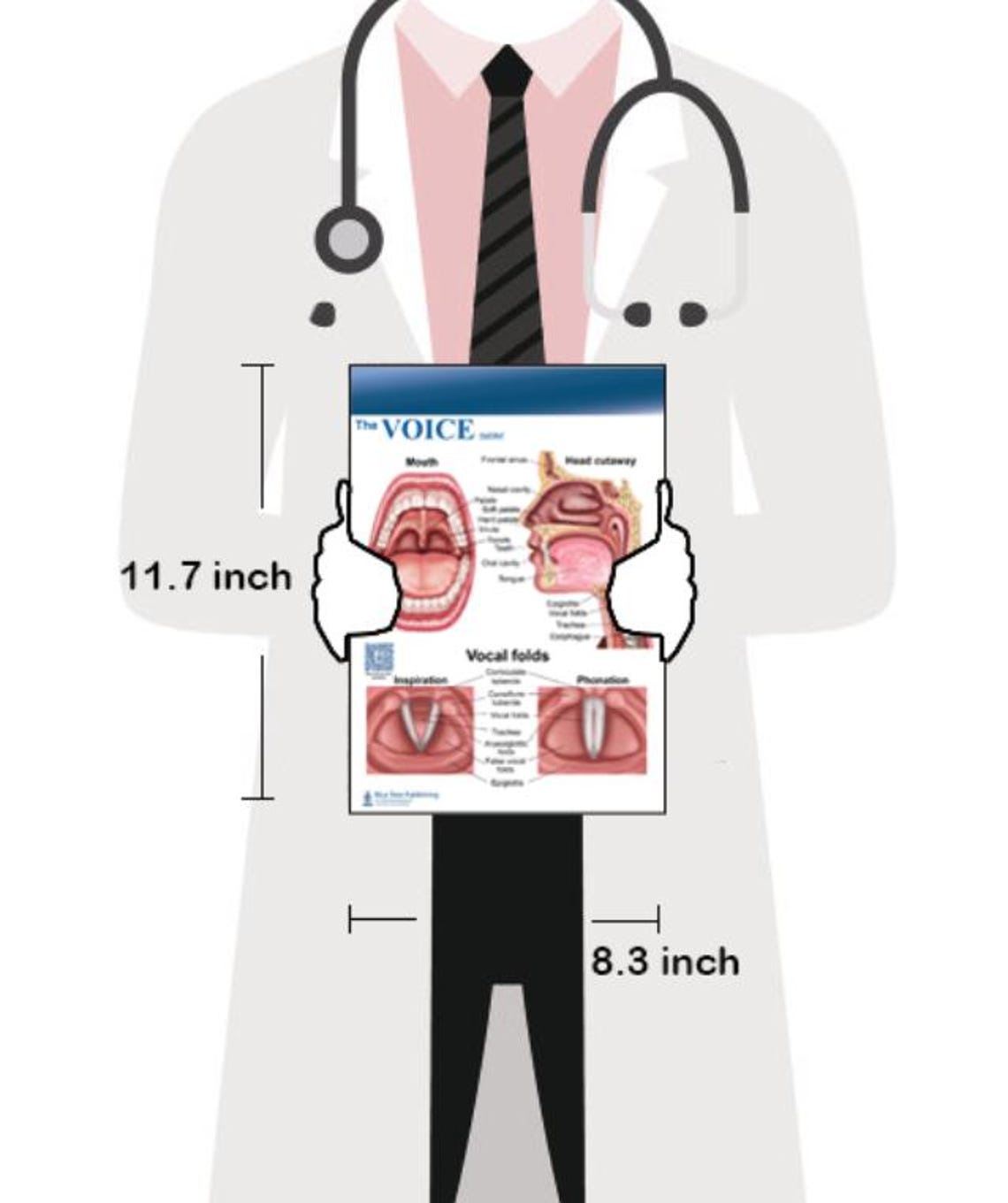Voice and Larynx Tear off Tablet-50 Sheets per Tablet-1 Tablets per ...
