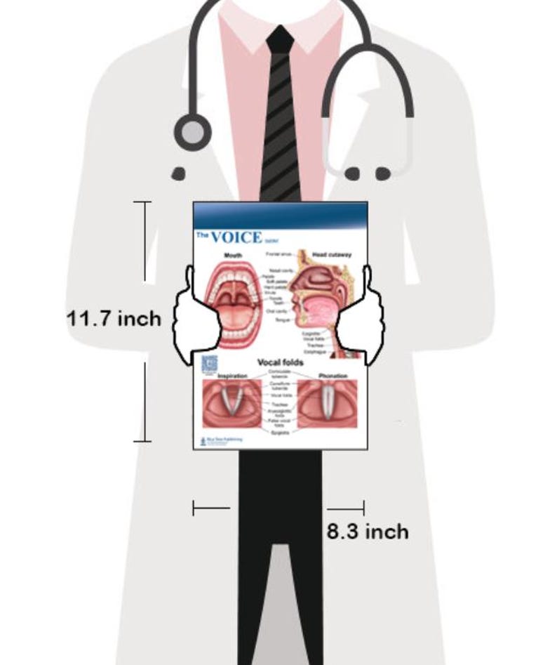 Voice and Larynx Tear off Tablet-50 Sheets per Tablet-1 Tablets per ...
