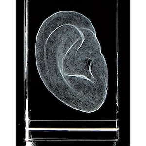 Ear 3d Laser 1lb Crystal, Anatomy, Pina, 3x3x2 Inch - Etsy
