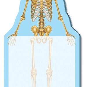 Skeleton Sticky Note - Etsy